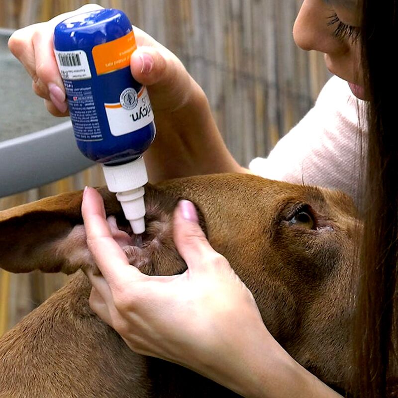 Vetericyn Plus® Antimicrobial Ear Rinse – 3oz (6pcs/ box) - HygieneForAll